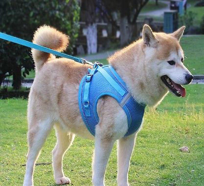 pl.rubicum.com – Strona 8